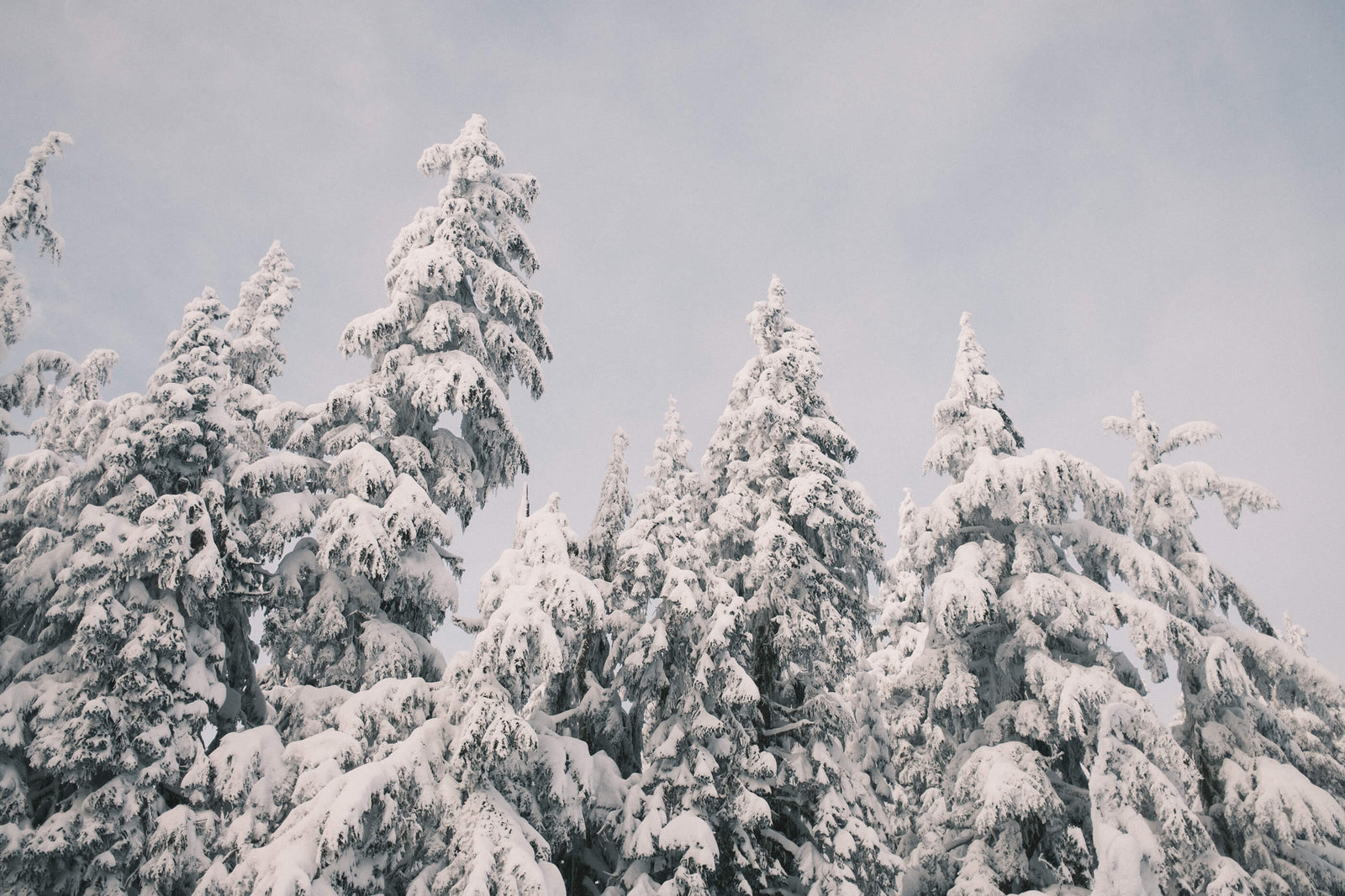 Fixbindingco.com | Fix Binding Co.